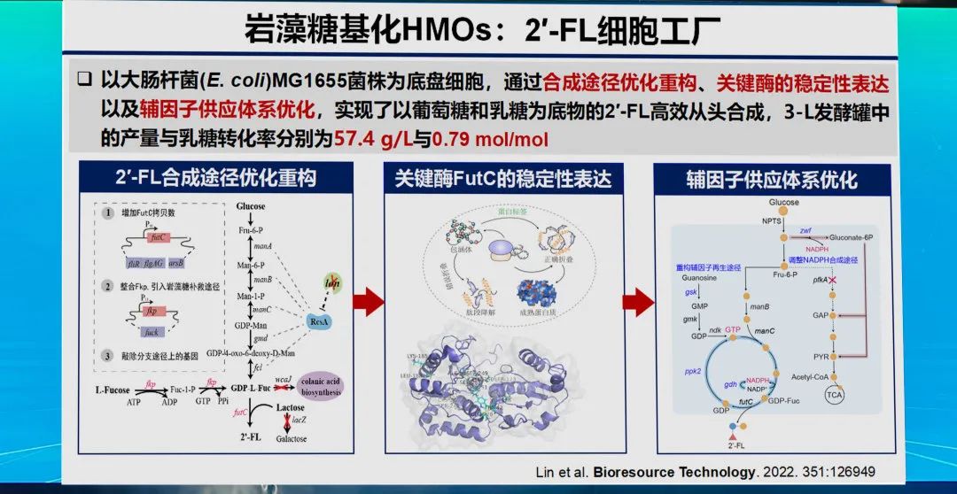 高峰论坛技术应用篇 | 构建细胞工厂高效合成婴配奶粉关键功能营养因子 - 郑州瑞普